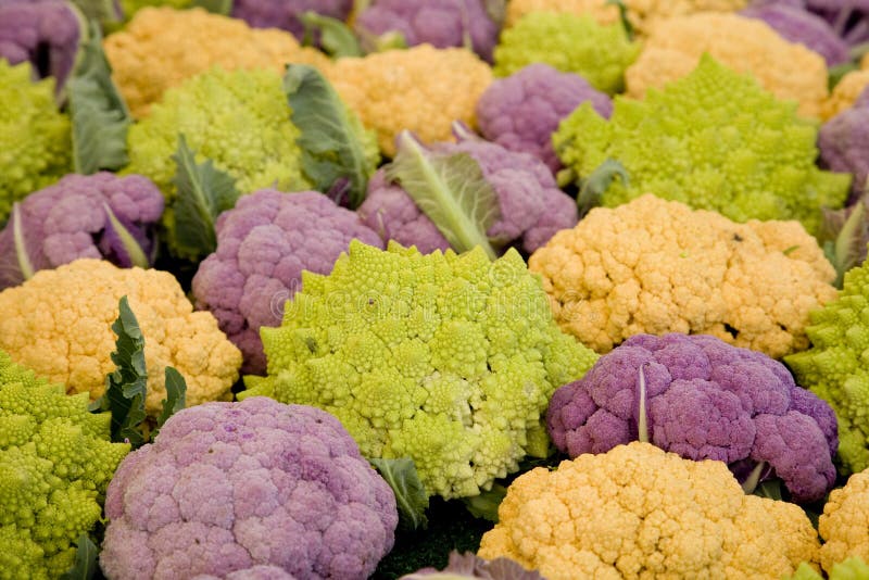 Romanesco Broccoli 1 stock image. Image of market, plants - 4574149