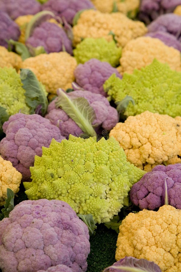 Romanesco Broccoli 2 stock photo. Image of vegetable, cauliflower - 4574202