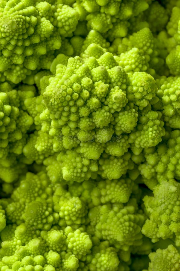 Romanesco Broccoli (Brassica Oleracea) Stock Photo - Image of healthy ...