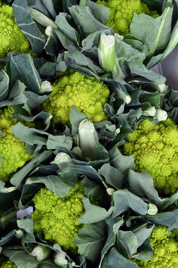 Romanesco broccoli cabbage stock photo. Image of ingredient - 35387858
