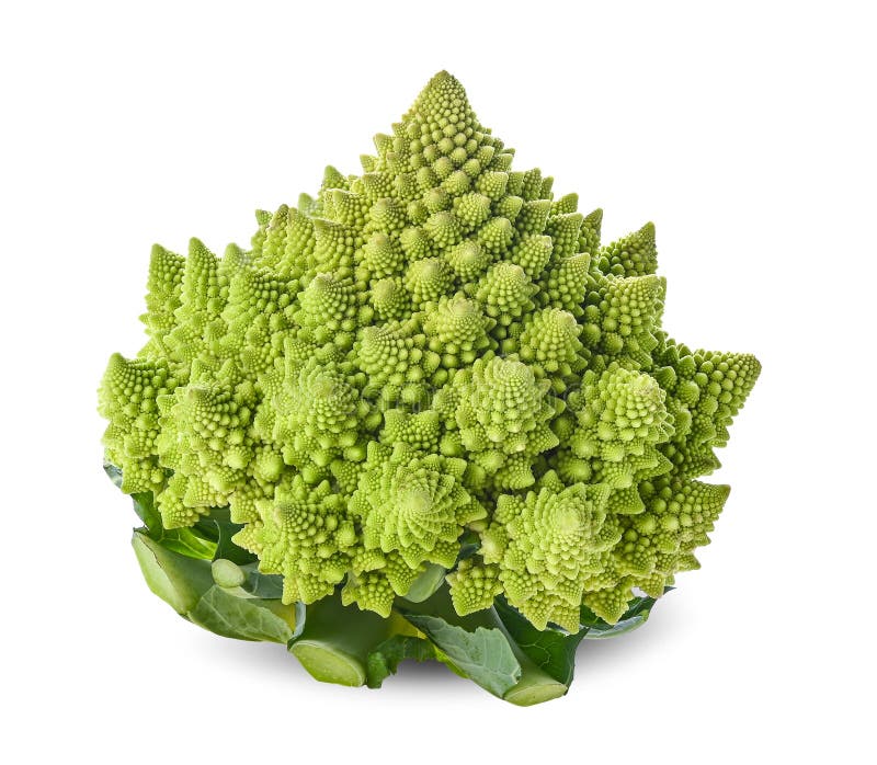 Romanesco Broccoli Cabbage or Roman Cauliflower Isolated on White ...