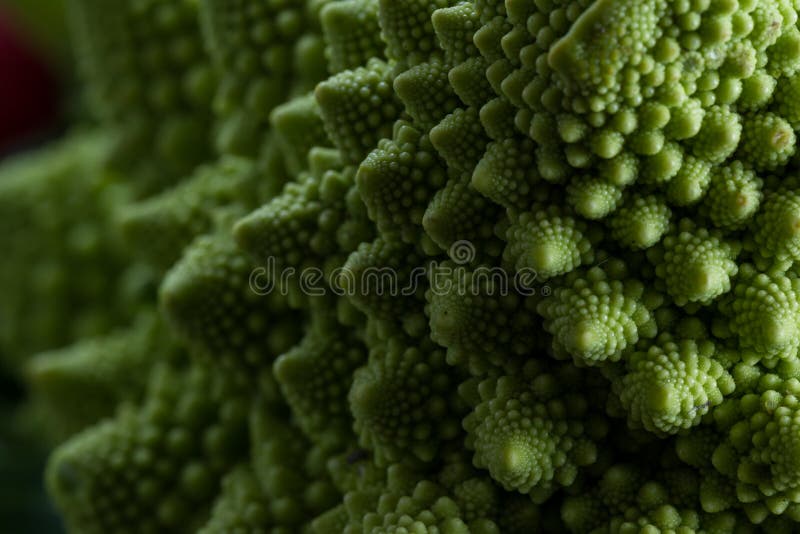 Romanesco Broccoli Close Up Stock Photo - Image of fractal, pretty ...