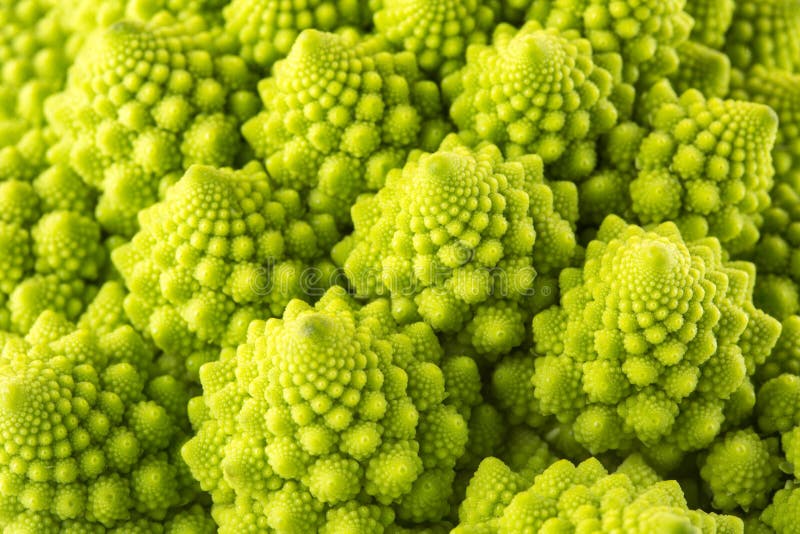 Romanesco Broccoli or Cauliflower. Brassica Oleracea. Stock Image ...