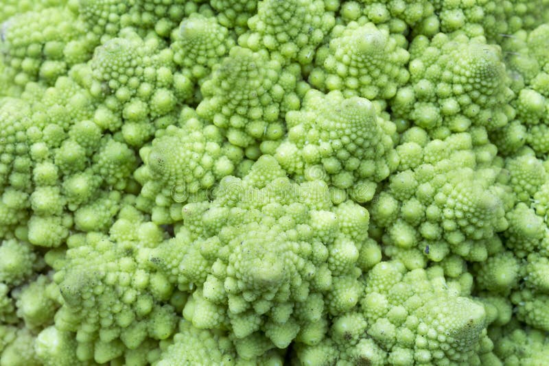Detail of Romanesco Broccoli Fractal Shapes Stock Image - Image of ...