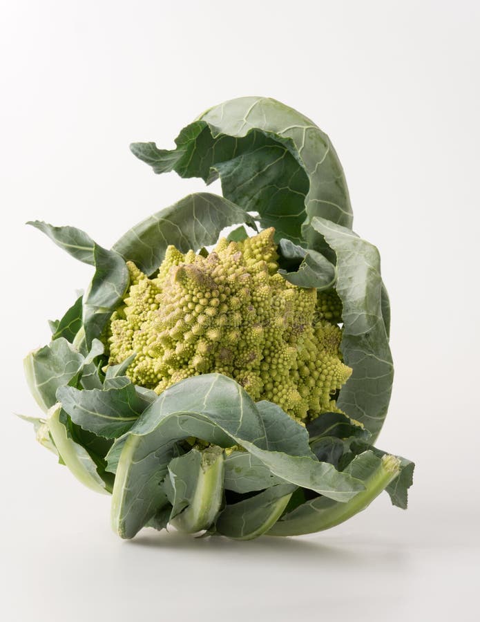 Romanesco broccoli stock image. Image of flower, broccoli - 35798261