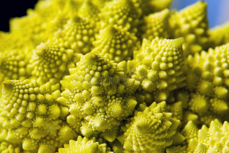 Romanesco Cabbage Background Stock Photo - Image of roman, texture ...