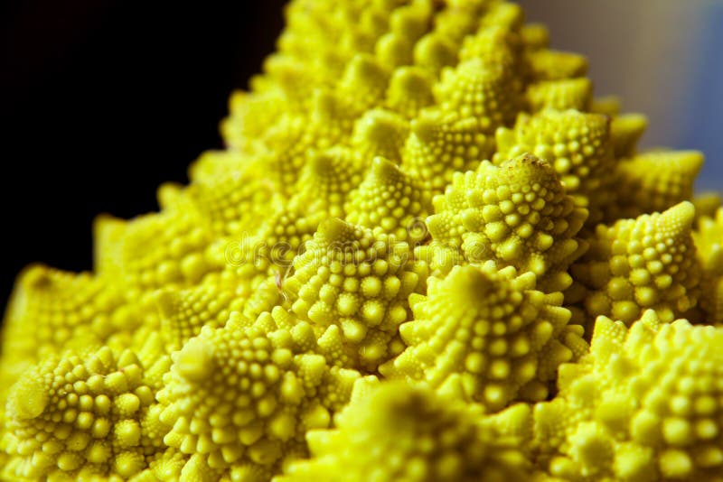 Romanesco Cabbage Background Stock Image - Image of design, detail ...