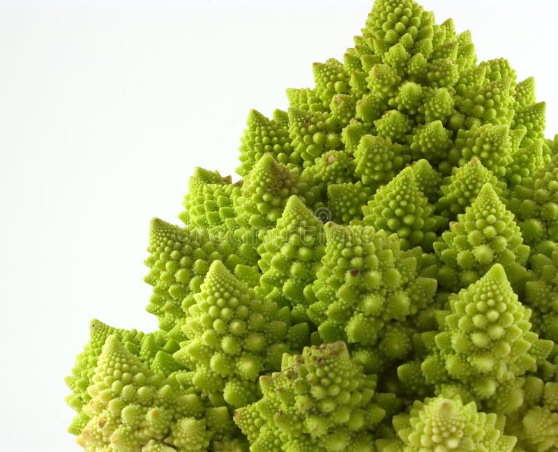 Romanesco cauliflower стоковое изображение. изображение насчитывающей ...