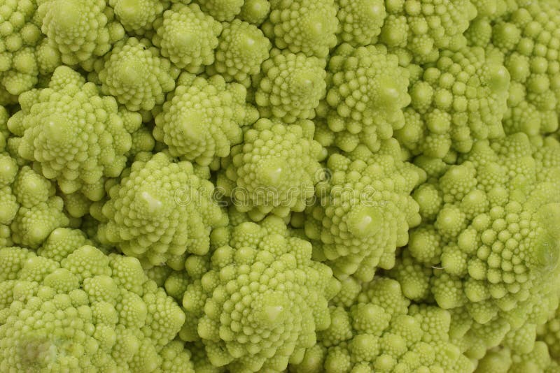 Romanesco Cauliflower Background Stock Image - Image of delicious ...