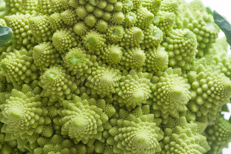 Romanesco Cauliflower Cabbage Texture Stock Image - Image of vegetable ...