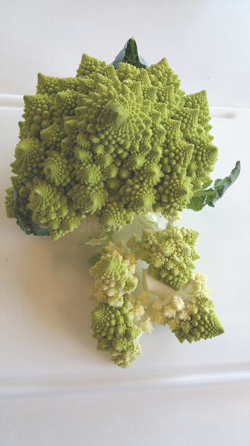 Romanesco cauliflower stock photo. Image of green, chopping - 66136496