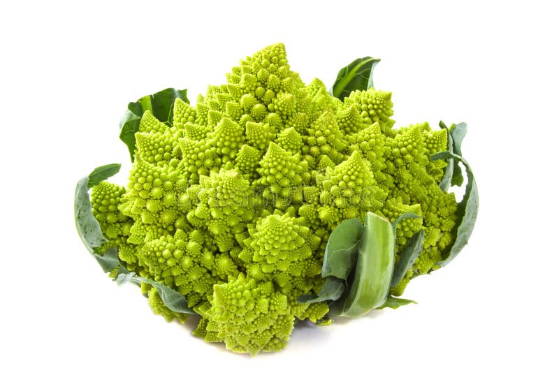 Romanesco stock image. Image of studio, eating, plant - 34781141