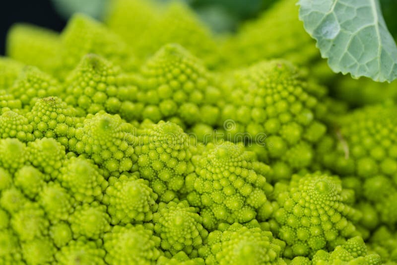 Romanesco Green Cauliflower Stock Photo - Image of cauliflower, fractal ...