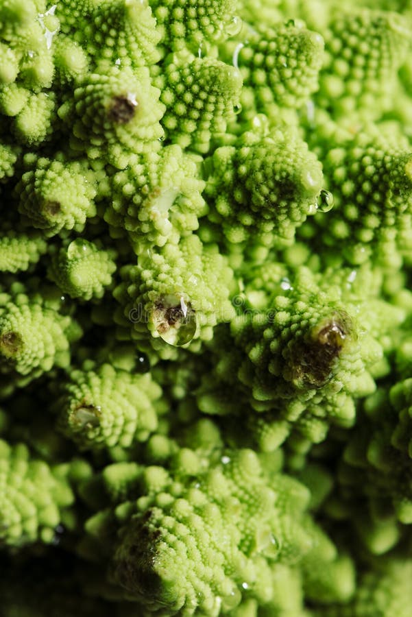 Romanesque Broccoli in Macro Style Stock Image - Image of healthy ...