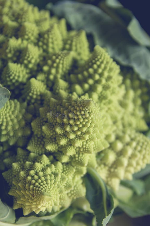 Romanesque Cauliflower Close Up Stock Photo - Image of fiber, food ...