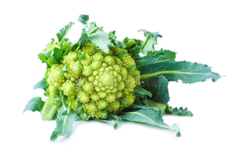 Romanesque Cauliflower Isolated on White Stock Image - Image of harvest ...