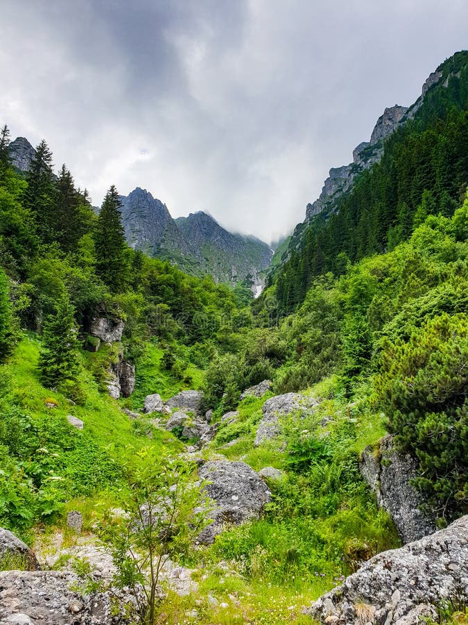 Romania, Bucegi Mountains, the Girdle of the Caraiman. Stock Image ...