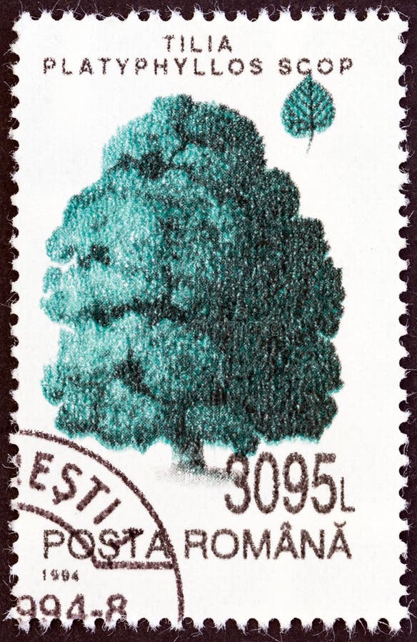 ROMANIA - CIRCA 1994: a Stamp Printed in Romania Shows Large Leaved ...