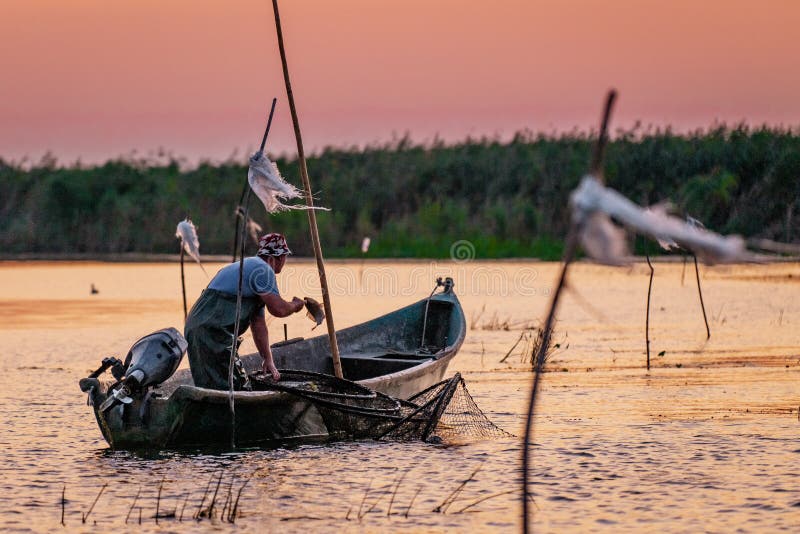 ROMANIA, DANUBE DELTA, AUGUST 2019: Fishing in the Danube Delta. Early ...