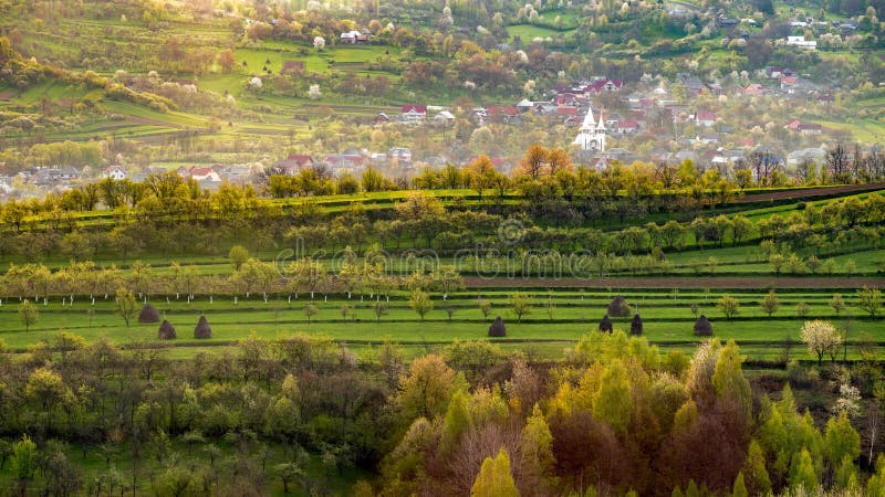 Landscape from Maramures stock photo. Image of fields - 19497152