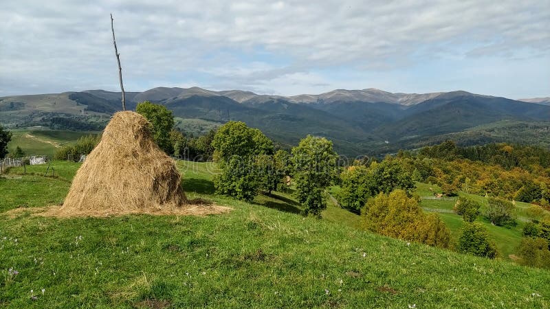 Romania Rural Countryside stock photo. Image of green - 198225448