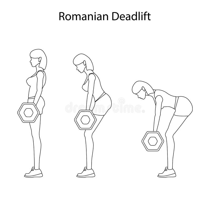 Romanian Deadlift Exercise Outline Stock Vector - Illustration of ...