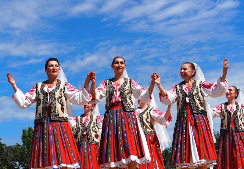 Mountain Cur Hound stock photo. Image of hound, watching - 1855424