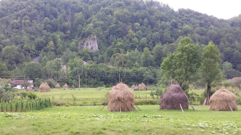 Romanian haystacks stock image. Image of agriculture - 42702007
