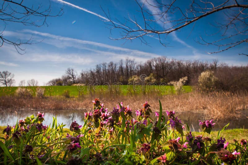 Romanian Land stock image. Image of country, blue, nature - 52838949