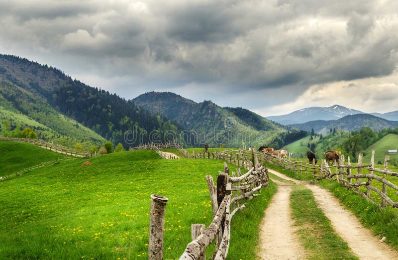 Romanian Landscape stock image. Image of flower, honey - 90505403