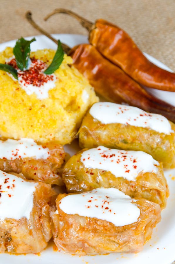 Romanian recipe - Sarmale stock image. Image of romanian - 22705217