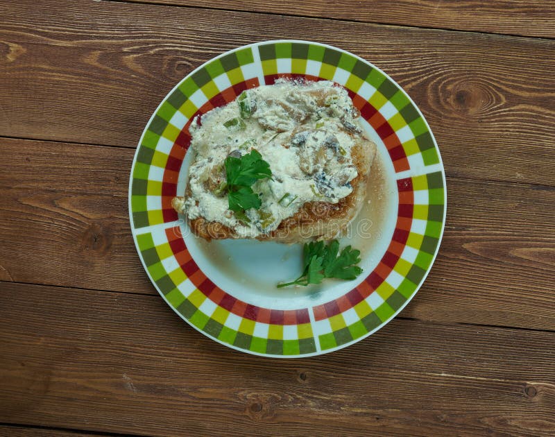 Romanian Schnitzel stock photo. Image of sauce, food - 94027552