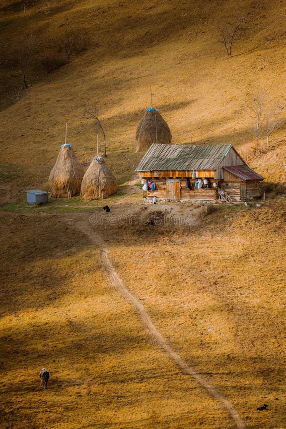 Romanian Shepherds Barn and Haystack from Transylvania Landscape Stock ...