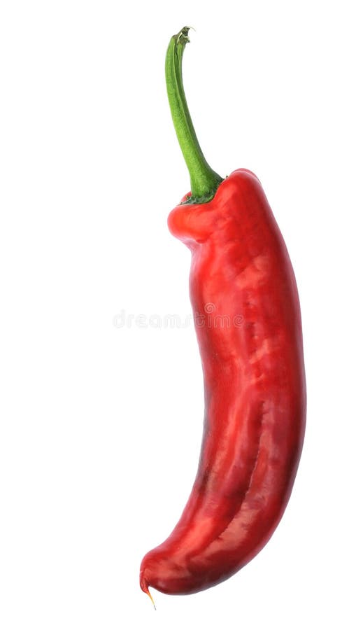 Romano Pepper stock photo. Image of edible, pepper, shape - 19724712