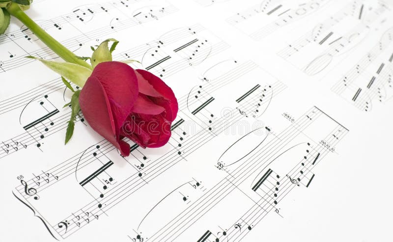 Violin piano rose stock photo. Image of love, concert - 36377374