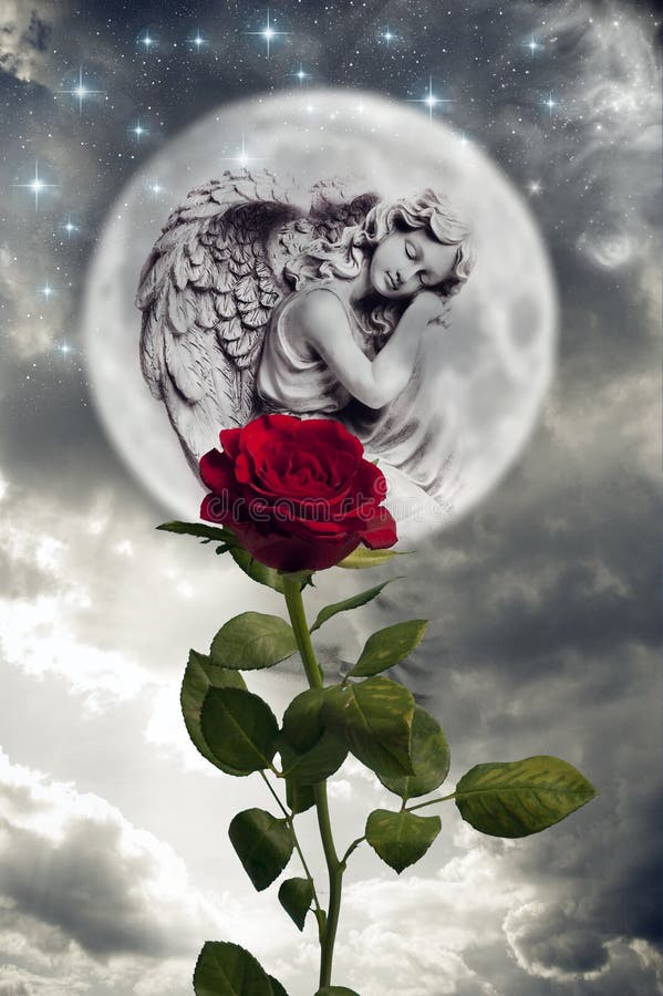 Romantic Angel Archangel Over Moon with Red Rose Stock Image - Image of ...