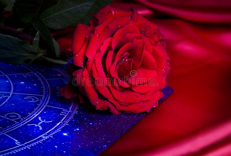 Magic rose stock photo. Image of drops, rose, witchcraft - 26828462