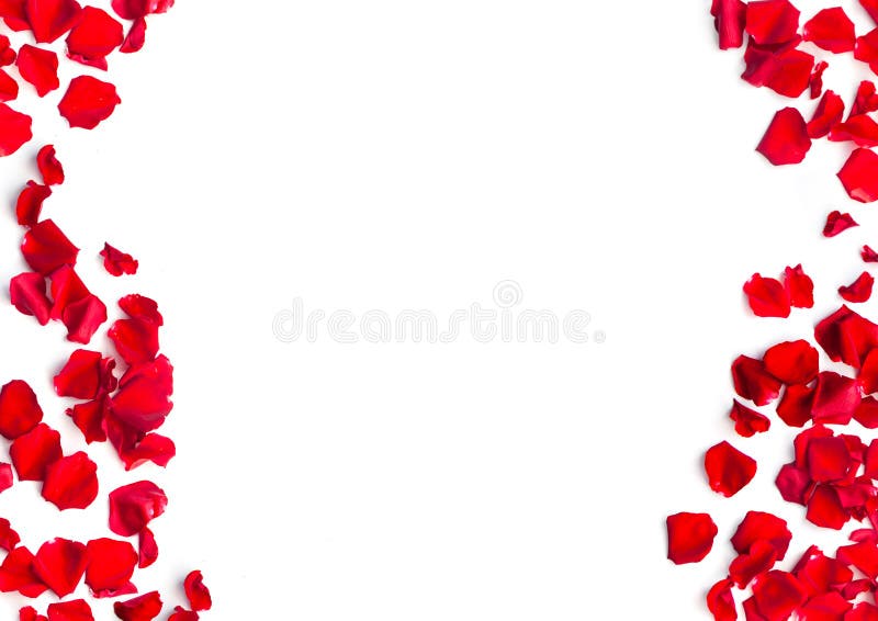 Romantic Background of Red Rose Petals Stock Image - Image of romantic ...