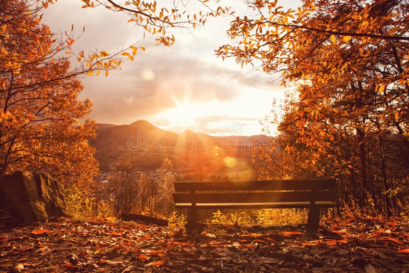 Romantic Bench Public Park Trash Can Recreation Stock Image - Image of ...