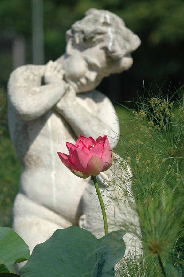 Romantic bloom stock image. Image of granny, statue, admiration - 42767
