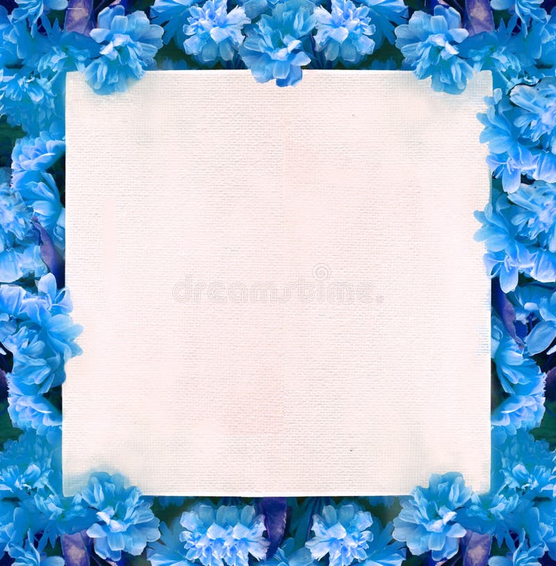 Square White Frame with Royal Blue Petal and Roses Stock Photo - Image ...