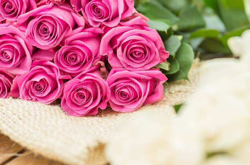 Romantic Bouquet of Ecuadorian Pink Roses Stock Image - Image of bunch ...