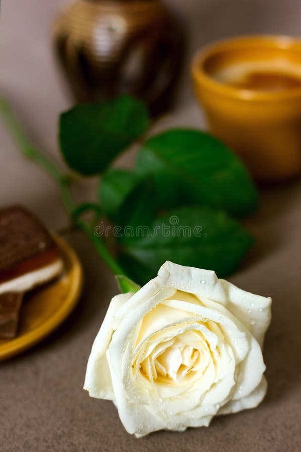 Romantic Breakfast with White Rose Stock Photo - Image of love ...