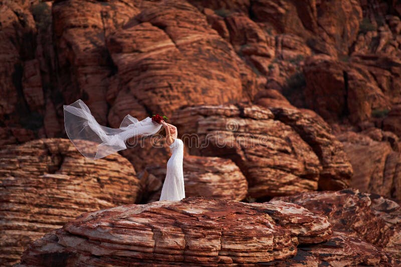 Romantic bride 7 stock image. Image of romantic, desert - 6359137