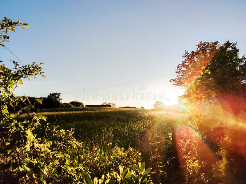 Farm meadow sunrise fog stock image. Image of lake, morning - 78353363