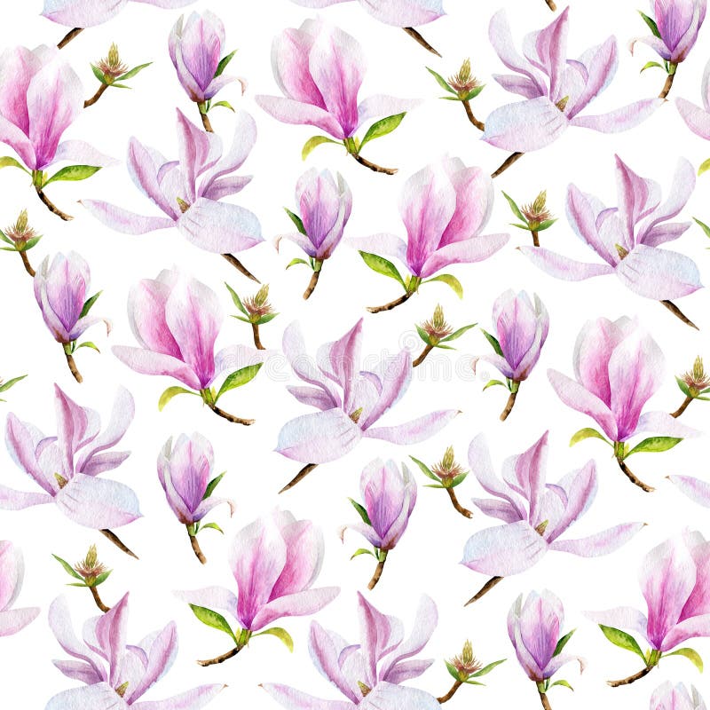 Romantic, Floral Pattern with Magnolia on a White Background. Stock ...