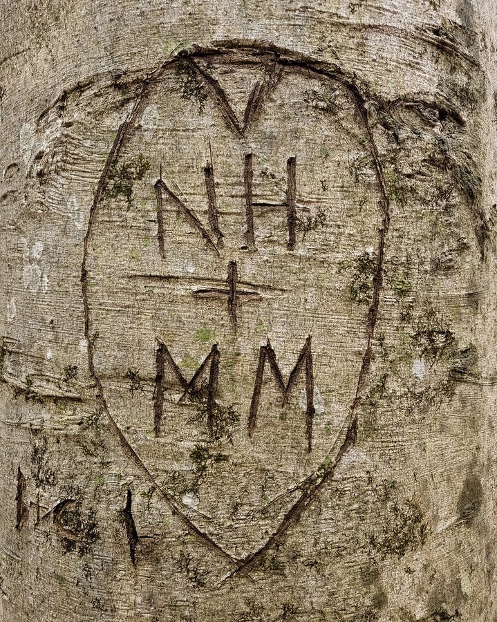 Romantic Initials Carved into Tree Bark with a Heart Stock Photo ...
