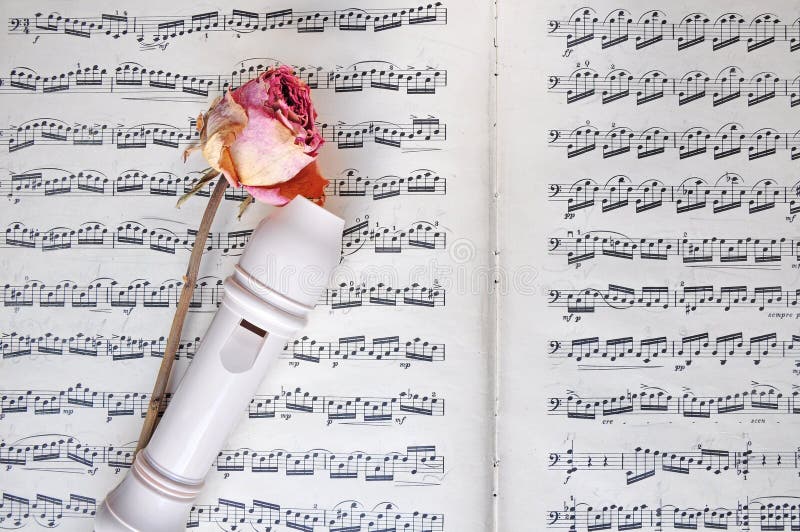 Romantic Music, Rose, Piano Sheet Stock Photo - Image of melody, piano ...