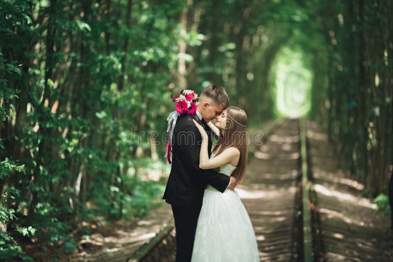 Romantic Newlywed Couple Kissing in Pine Tree Forest Stock Image ...