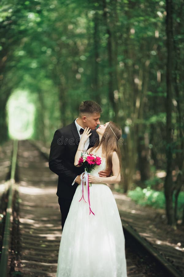Romantic Newlywed Couple Kissing in Pine Tree Forest Stock Photo ...
